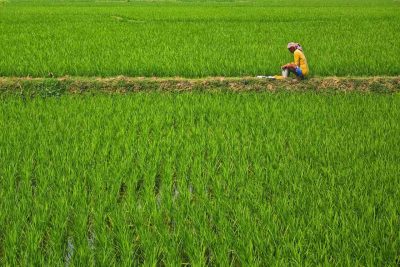 Bihar Bhumi Portal 2025: Land Record, Mutation & Lagan Info